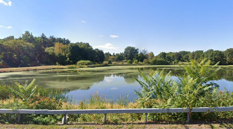 Morgan Lake – Poughkeepsie, NY - Fish Hudson Valley