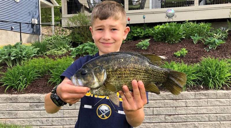 8 Year Old Catches Record Rock Bass - Fish Hudson Valley